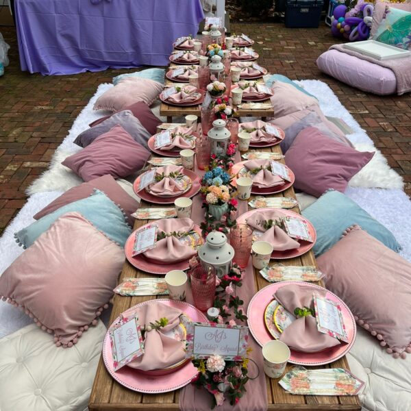 Buy Picnic Setups - Sleepover Party Shop